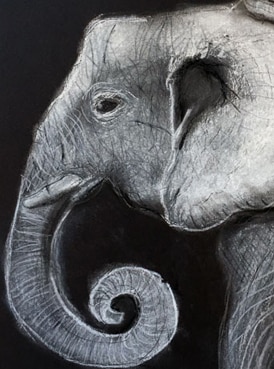 Black & White Chalk Drawing Lesson for Tweens